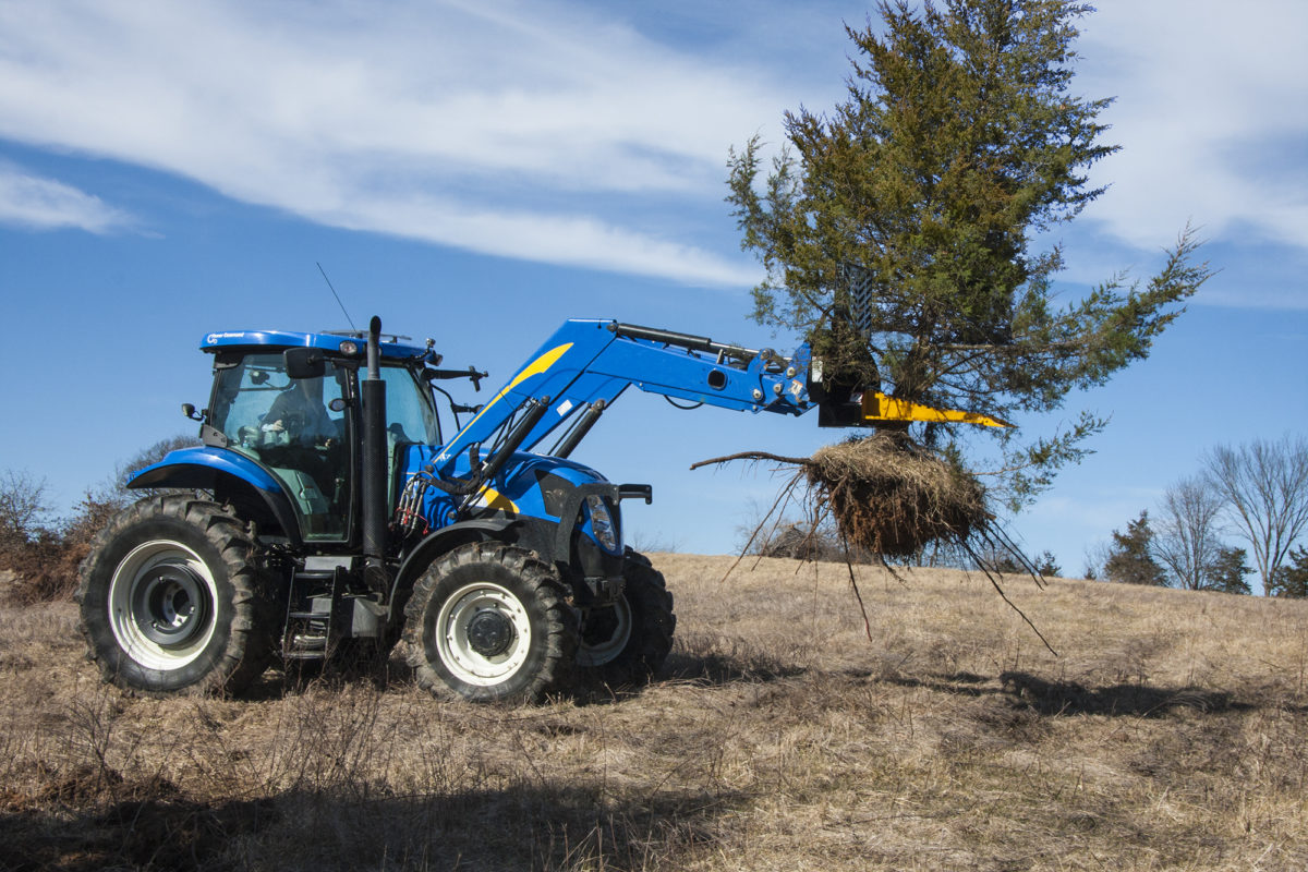 DA12200FT - Beaver Valley Supply - Danuser Intimidator Tree & Post ...