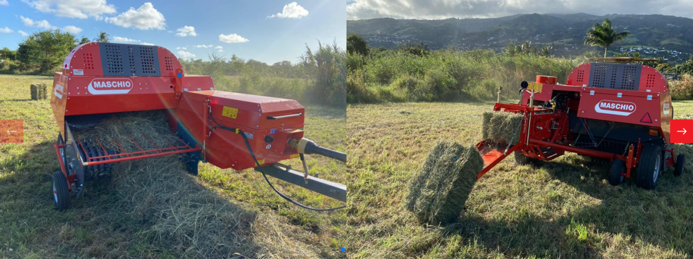 Pitagora Off-Set - Beaver Valley Supply